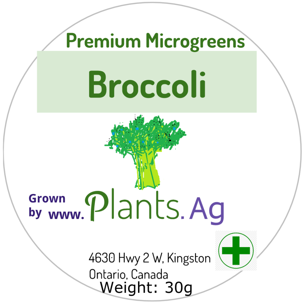 Premium Microgreens – Broccoli